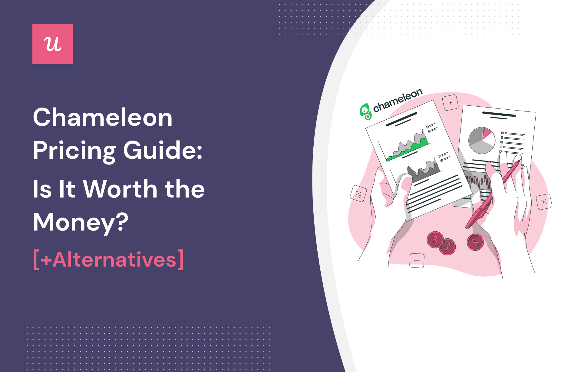 Chameleon Pricing Guide: Is It Worth the Money? (+Alternatives ...