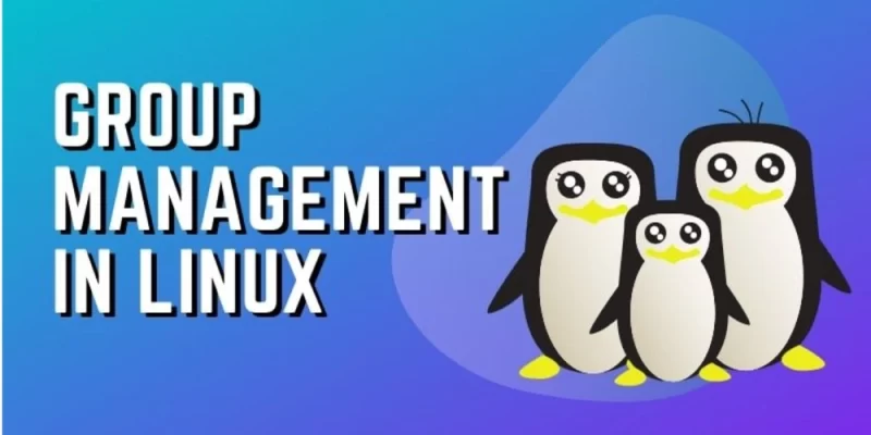 Group Management in Linux: My Journey to Organized Systems - prodSens.live