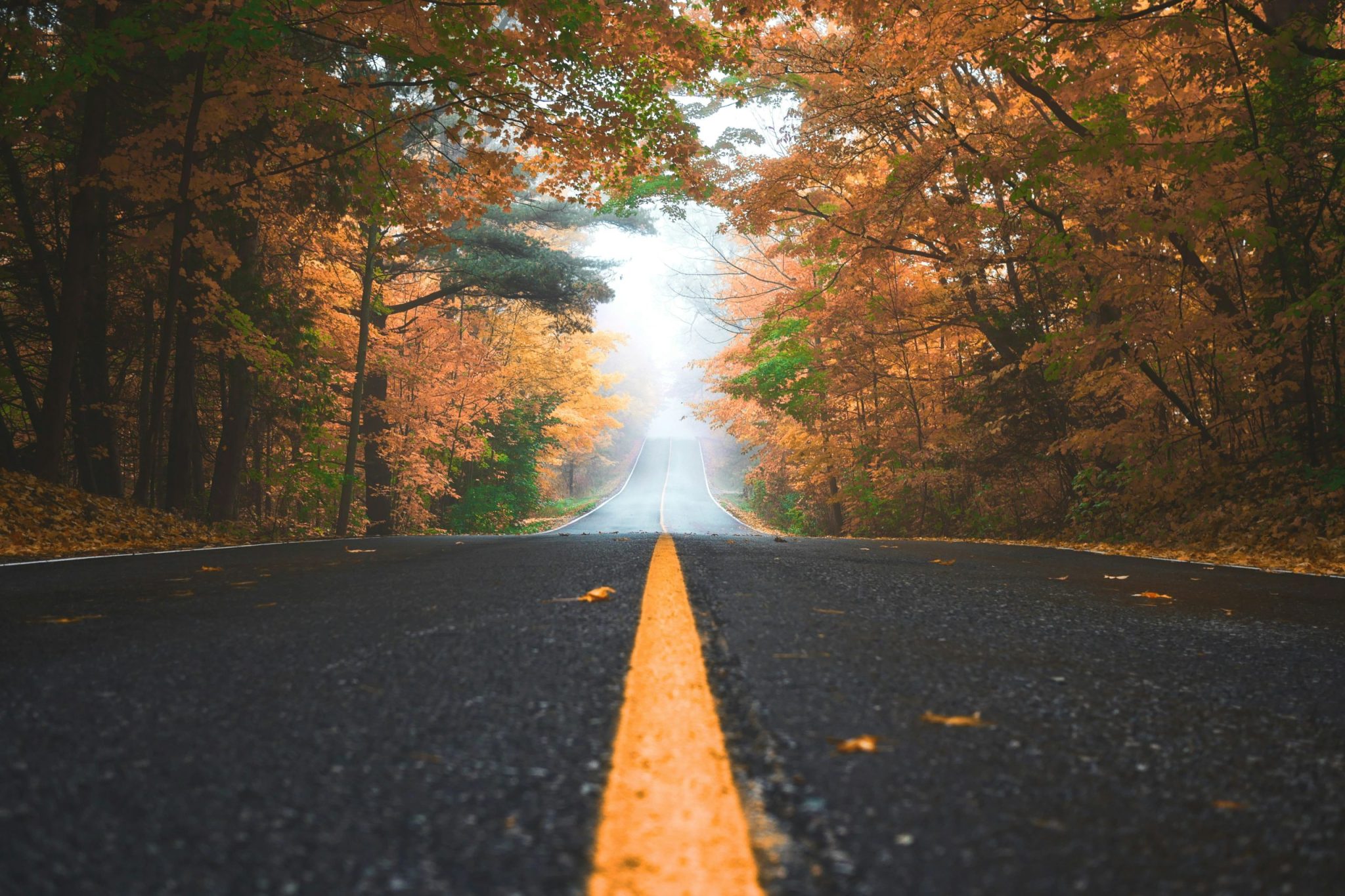 SS&C Blue Prism: On the journey from RPA to agentic automation ...